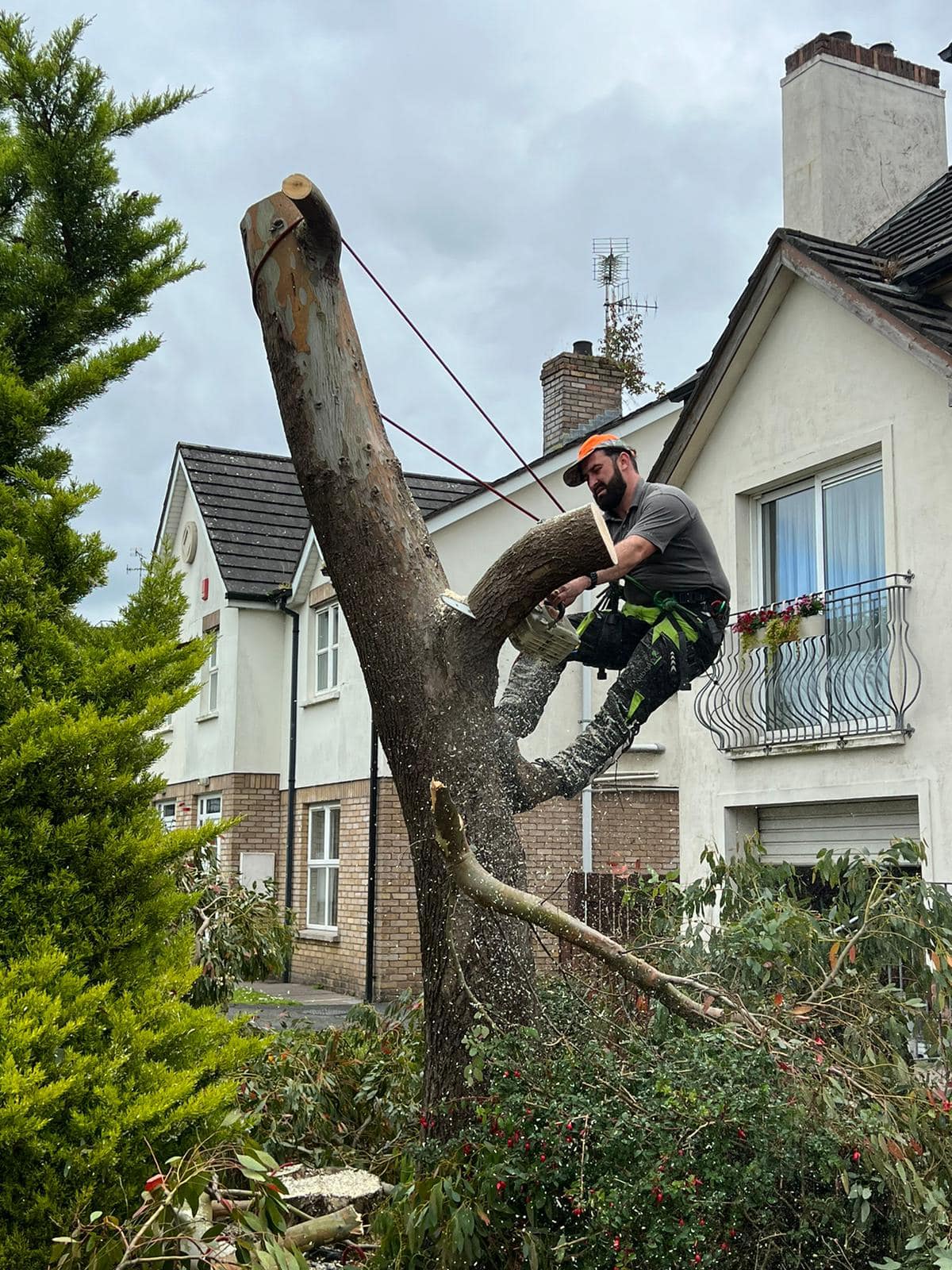 contact us AJM tree surgery & landscaping Ltd in Belfast